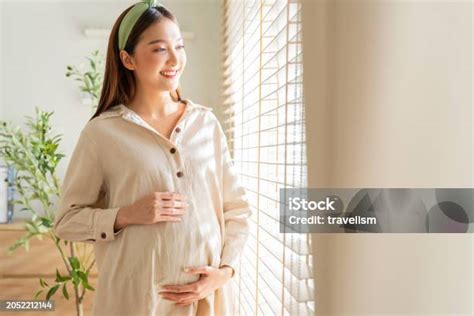 배에 손을 얹고 창가에 서 있는 임산부 회색 원피스를 입은 임산부가 환한 얼굴로 배를 잡고 환한 실내의 창가에 서 있는 모습 임신에 대한 스톡 사진 및 기타 이미지 Istock