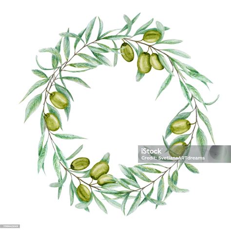 수채화 녹색 올리브 나무 가지 나뭇잎 화환 흰색 배경에 현실적인 올리브 그림 손으로 그린 프레임 초대장 포스터 인사말 카드 라벨