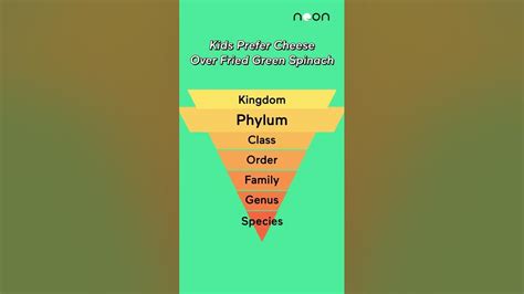 Study Hack How To Remember Taxonomy Mnemonics Noon Youtube
