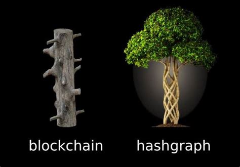 Future Of Blockchain Will Hashgraph Make Blockchain Obsolete Tech