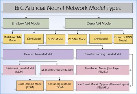 Type Of Anns Used For Brc Classification And Grading Download