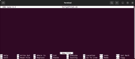 Understanding Chmod X Making Files Executable Linuxways