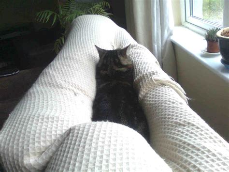 Sage 4 By Ishotjamc On Deviantart