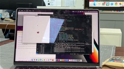 파이선 파리 잡기 게임 만들기 Youtube