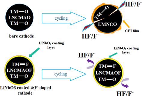 LiNbO3 Coating And F Doping Stabilize The Crystal Structure And Ameliorate The Interface Of