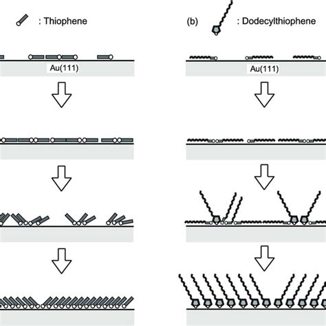 Sam Ftir Ras 720 Cm 1 Ch Download Scientific Diagram