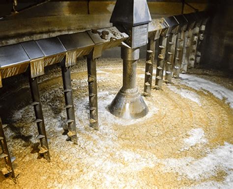 Wat Is Fermentatie En Gisting Topdrinks Nl
