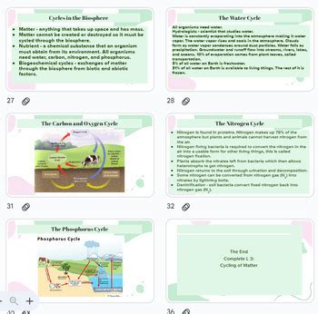 Principles Of Ecology Teacher Notes Google Slides Biology TPT