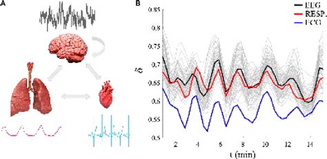 Frontiers Complexity Synchronization In Living Matter A Mini Review