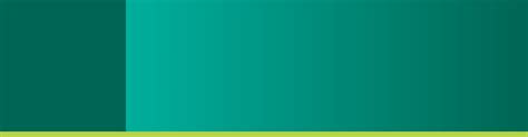 Management Of Predominantly Classic Choroidal Neovascularization Due To