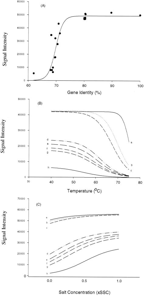 Effects Of Sequence Divergence And Hybridization Stringency On Signal