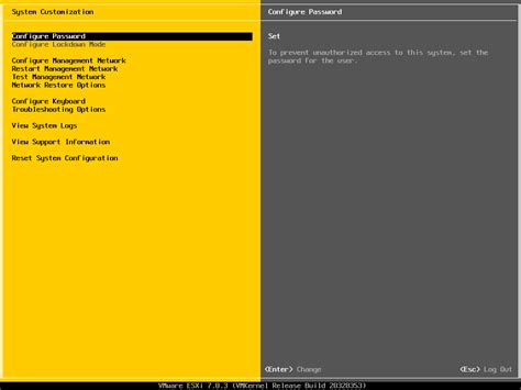 Vmware Esxi 7 Install Server World