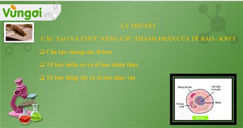 Lý thuyết cấu tạo và chức năng các thành phần của tế bào khoa học tự nhiên sách KNTT