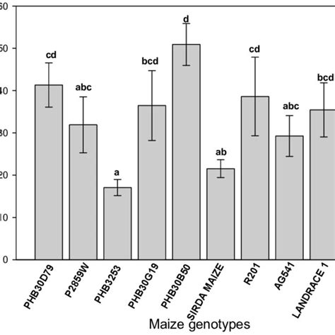 Effect Of Maize Genotypes On Maize Stem Biomass Download Scientific