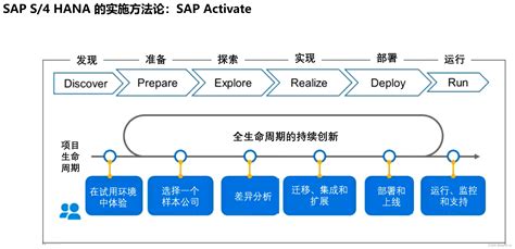 Sap实施方法论的变化 Csdn博客