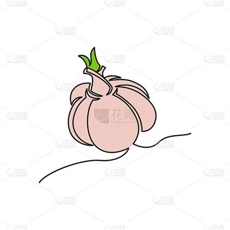 一条连续的线画蔬菜大蒜，孤立在白色的背景上。健康饮食的概念。矢量插图。素材 花瓣网