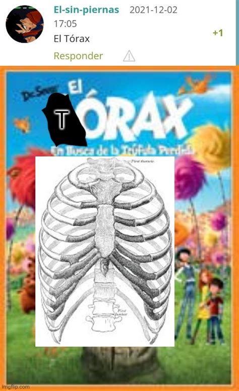 Top Memes De Torax En Espa Ol Memedroid