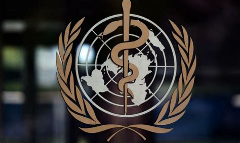 La Oms Señala Que Las Enfermedades No Transmisibles Son Responsables