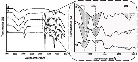 Fourier Transform Infrared Spectroscopy Spectra Range Of 4000 And Download Scientific Diagram