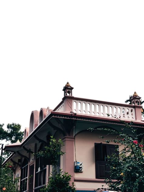 Aadith Praveen K 사진