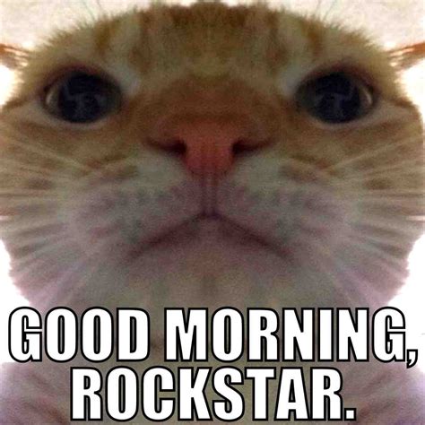 Sweet Good Morning Memes Good Morning Memes For Her 2025
