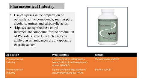 Presentation Of Enzyme Lipasepptx