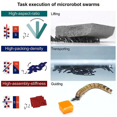 This Swarm Of Mini Robots Achieves Unprecedented Feats 🐜