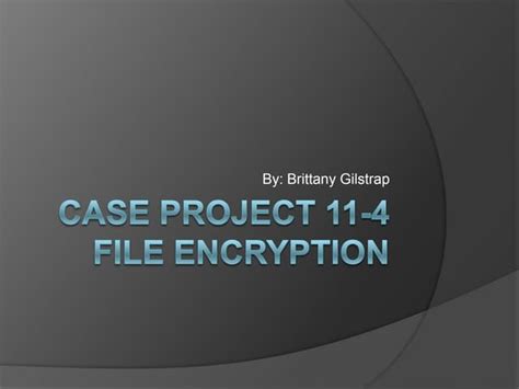 file encryption pptx data storage and warehousing computing