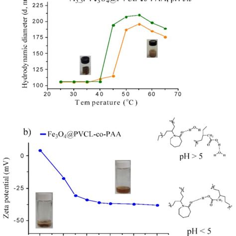 Hydrodynamic Size Variation Of Mncs As A Function Of Temperature Download Scientific Diagram