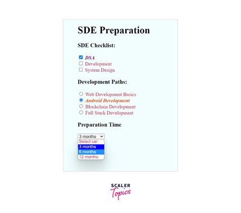 How To Use The CSS Checked Selector Scaler Topics