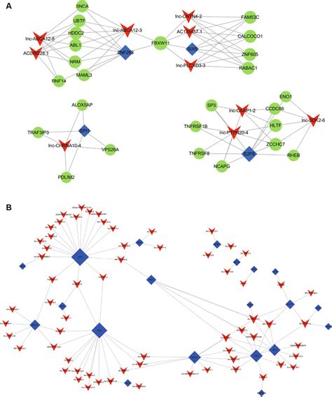 coding non coding rnas co expression analysis the network represents
