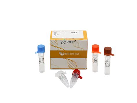 Norovirus Gi And Gii Real Time Pcr Kit Bioservices