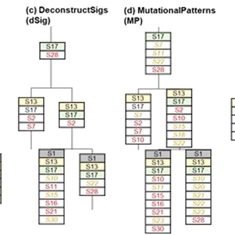 Mutational Signatures Detected By Different Methods For Individual Download Scientific Diagram