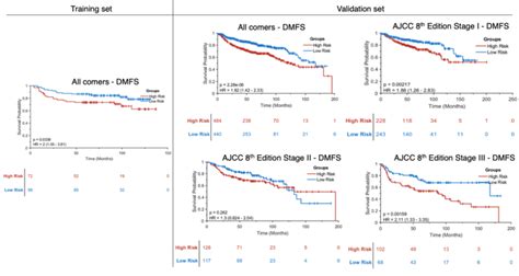 Km Dmfs Curves For All Patients In Trainingvalidation Cohorts And