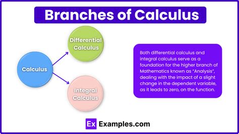 Calculus Definition Branches Functions