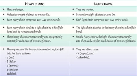 Immunoglobulins Structure Functions And Types Ppt