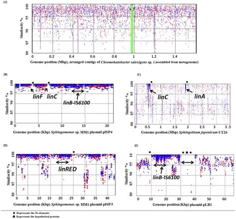 Metagenomic Recruitment Plots Of Genomesplasmids Constructed Using All