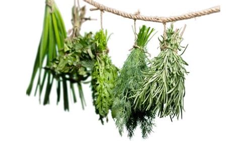 Flavor Without Fodmaps Herbs Spices And Seasonings Gut Health And