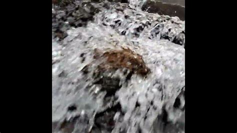 슬로우 모션과 역재생 Youtube