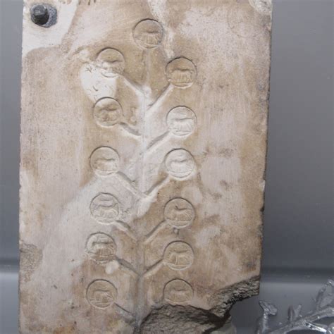 Ancient Mint Dies Coin Talk