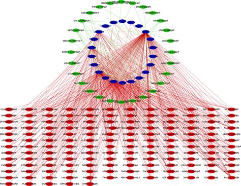 The Regulatory Network Between SFs And Survival Related AS Events The Download Scientific