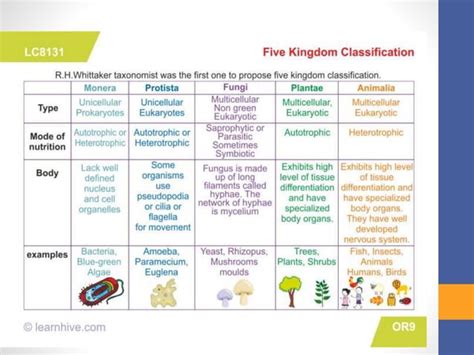 Five Kingdom Classification Rh Whittaker Pptx Biological Sciences
