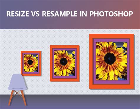 Resize Vs Resample In Photoshop Clipping Path Service
