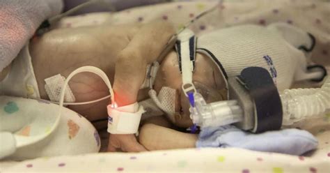 Paizlee Rose Adams Iwk Foundation