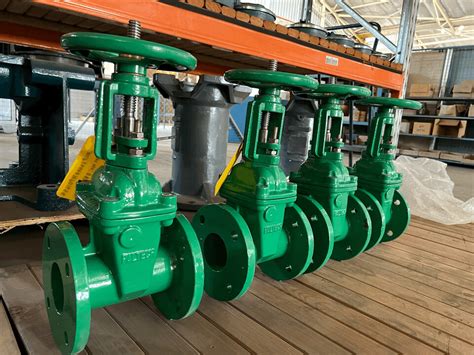 Video Nomonde Sihlahla On Linkedin Paltech Valves