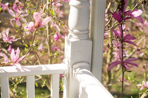 Domestic Fashionista Setting A Pace