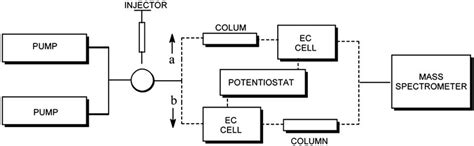 Schematic Set Up Of Lc Ec Ms Path A And Ec Lc Ms Path B Adapted Download Scientific