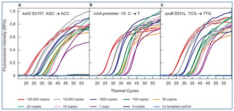 Ijms Free Full Text Ultrasensitive Detection Of Multidrug Resistant Mycobacterium