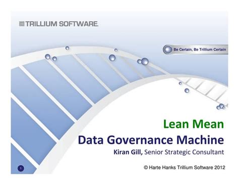 Lean Mean Data Governance Machine Webinar Part 2 Pdf