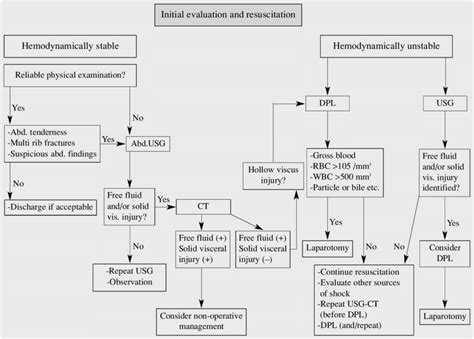 Algorithm Of Diagnostic Approaches In Bat Download Scientific Diagram